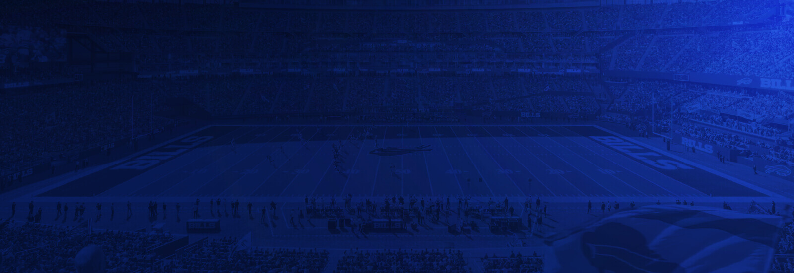 Bills Stadium Experience
