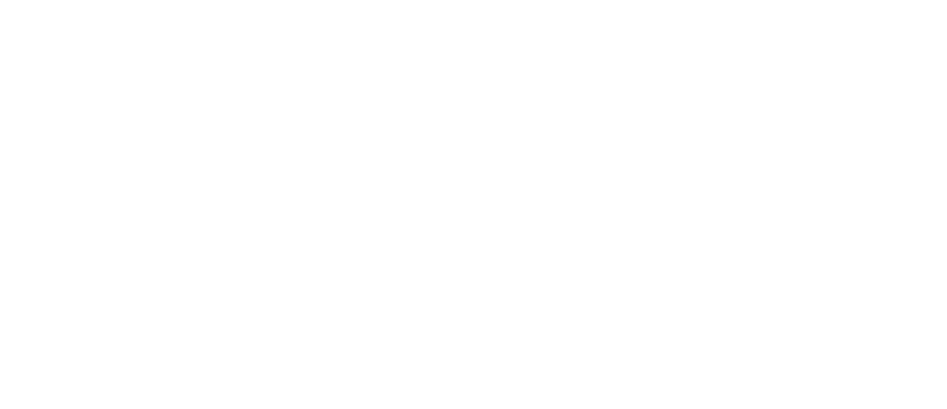 Bills Stadium Experience